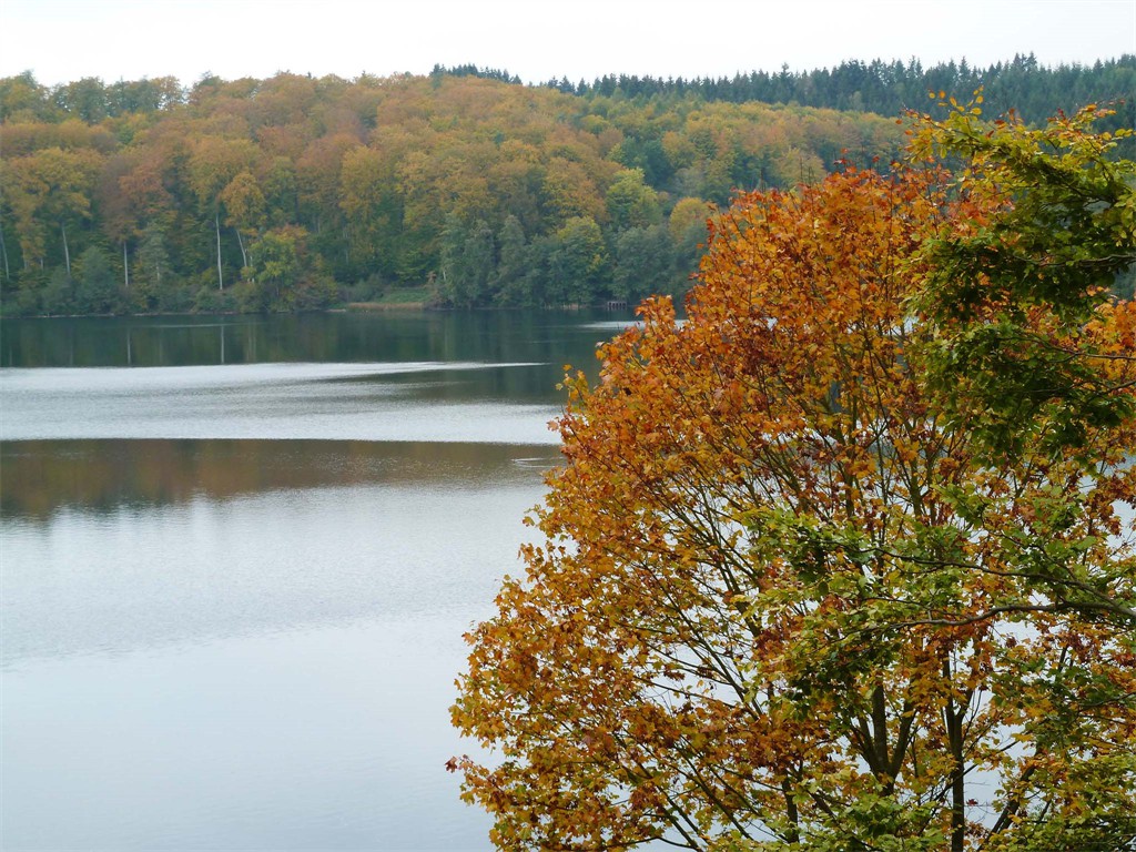 Vulkaneifel